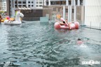 Infinity Pool Party Launch at Liquid Pool Bar | Siam2nite