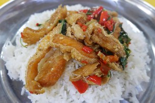 10 Best Kaprow Places that Deliver to Anywhere in Bangkok | Siam2nite